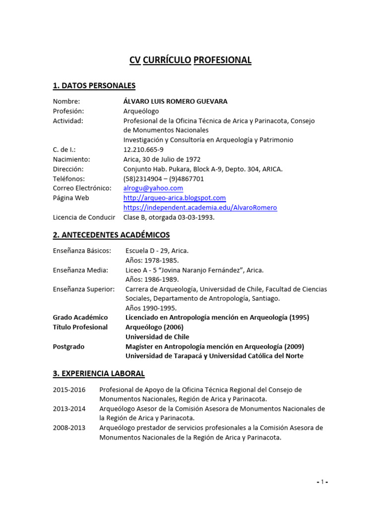 CV Alvaro Largo | Descargar gratis PDF | Chile