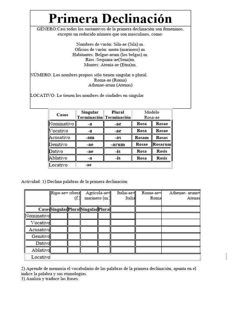 Primera Declinación | PDF | Sustantivo | Morfología Lingüística
