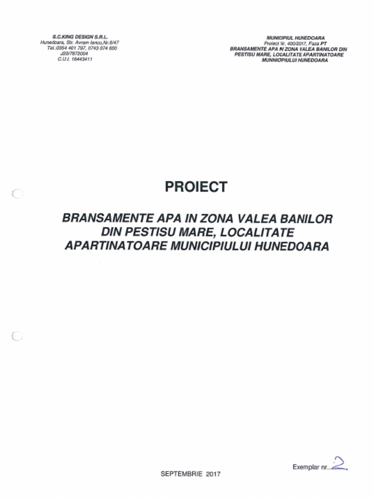 Proiect bransament apa in Valea Banilor | PDF