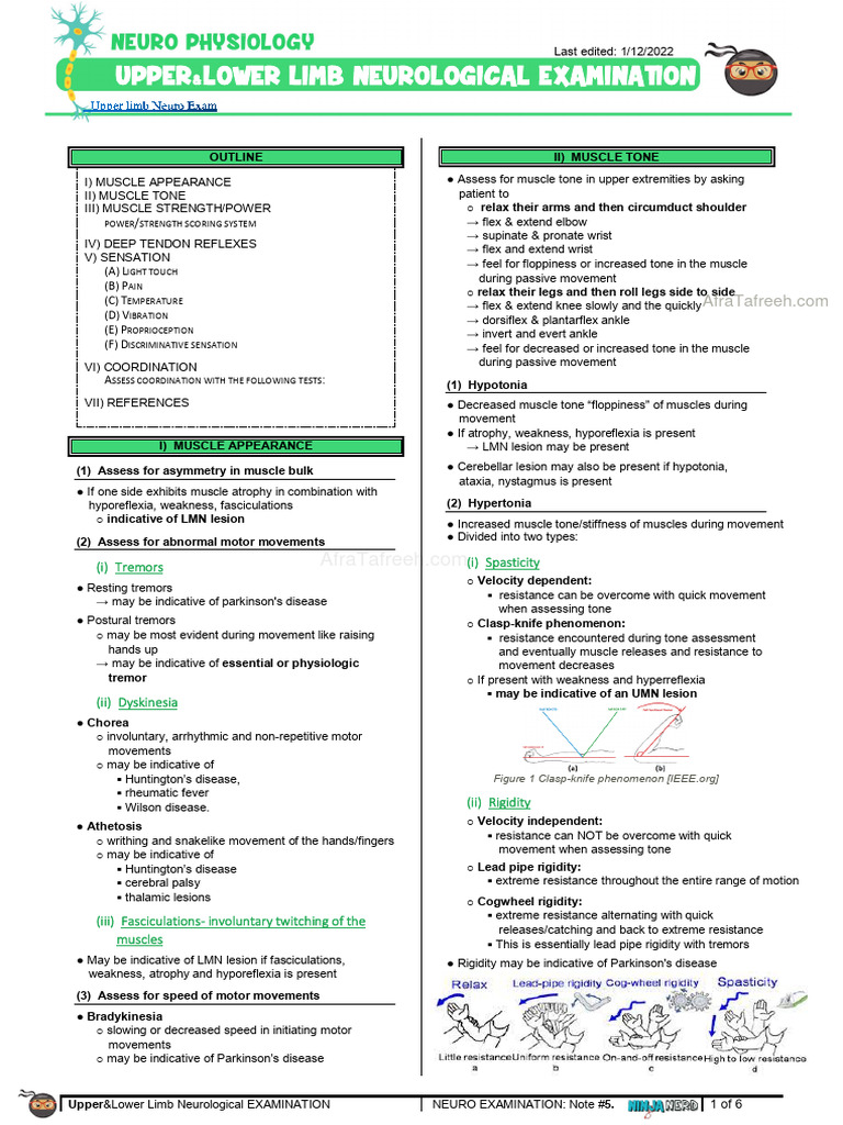 Upper and Lower Limbs Neurological Exam Atf | PDF | Anatomical Terms Of ...