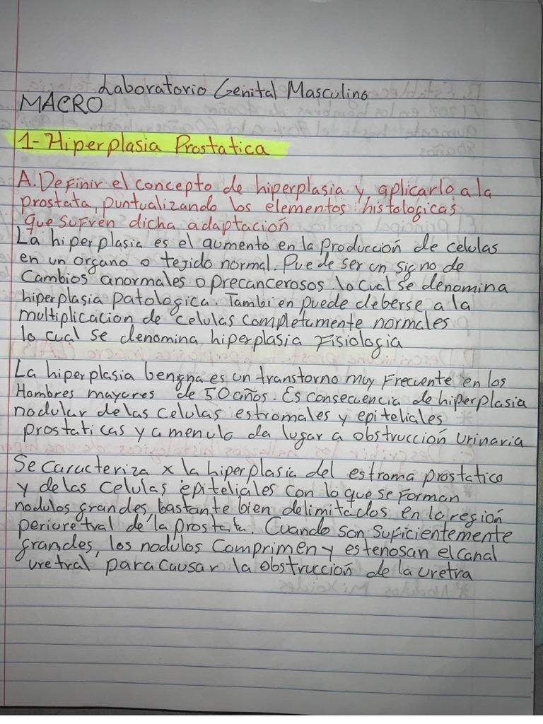 Lab Genital Masculino Ávalos | PDF
