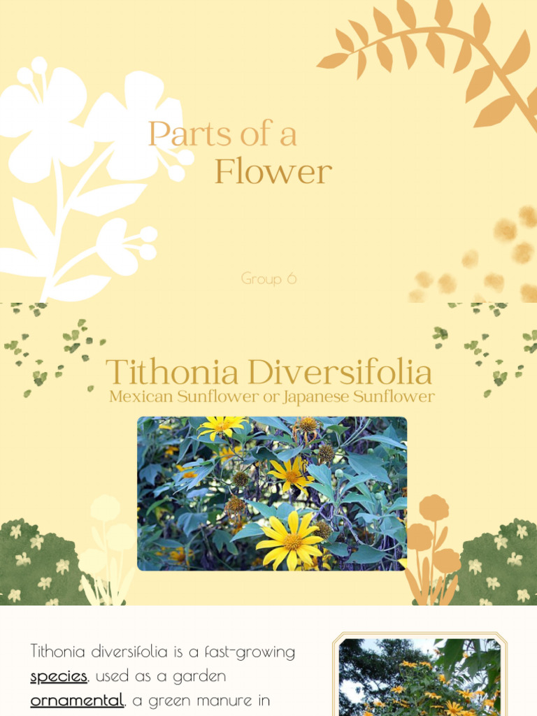 Bio Flower | PDF