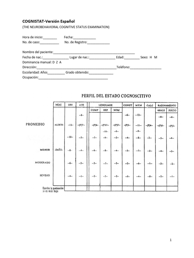Protocolo Cognistat | PDF