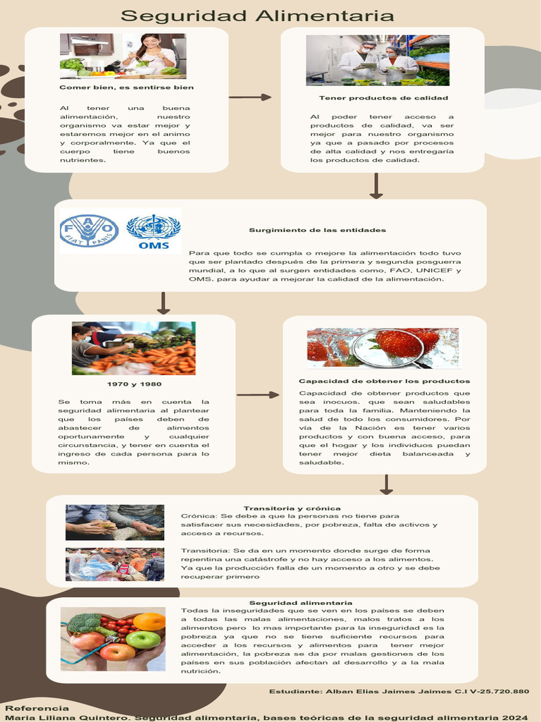 Infografia Seguridad Alimentaria | PDF | Seguridad alimentaria | Alimentos