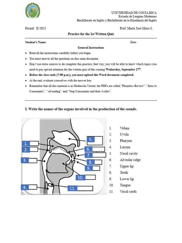 Answer Key - Practice (Written Quiz) | PDF | Language Families | Phonetics