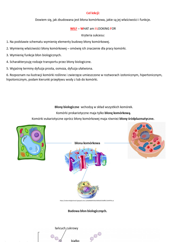 Prezentacja Blony Biologiczne | PDF