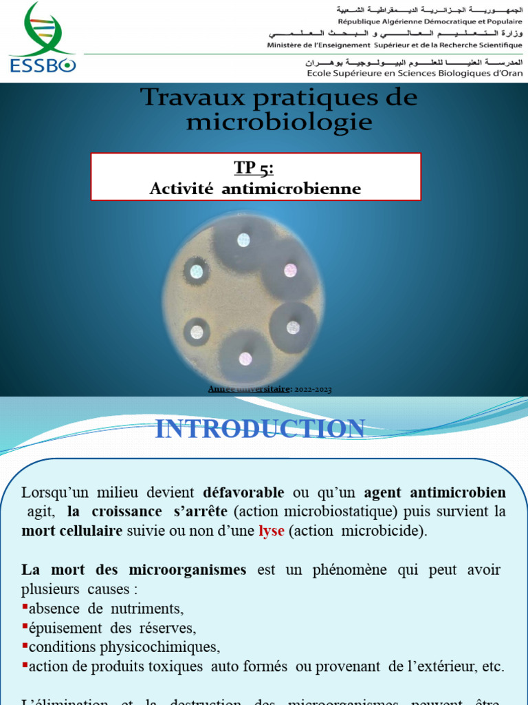TP N°5de microbiologie-ESSBO-2023 | PDF | Microbiologie