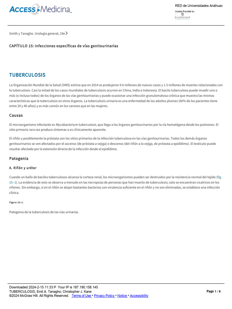 TUBERCULOSIS | PDF | Tuberculosis | Riñón