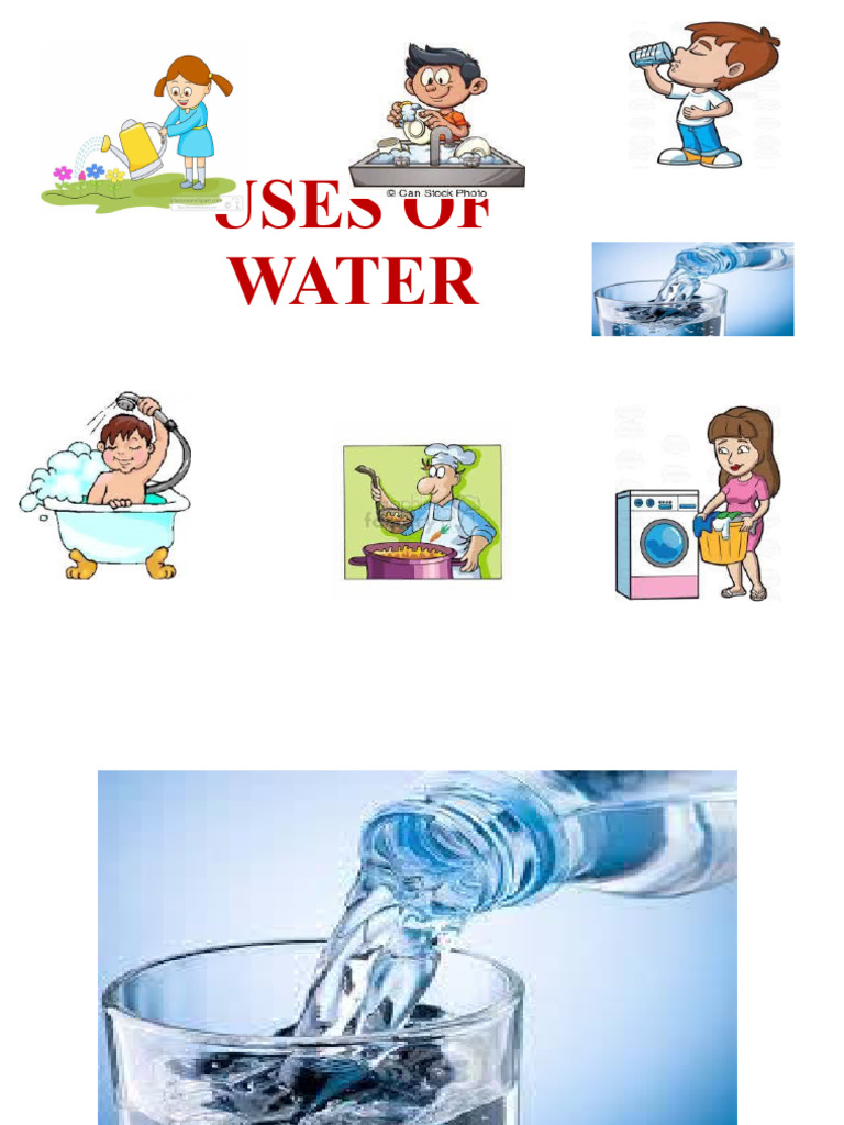 Uses of Water | PDF | Home & Garden | Wellness