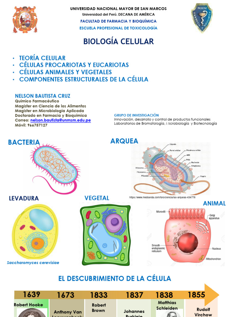 Teoría Celular: Estructura y Tipos de Células | PDF | Biología Celular ...