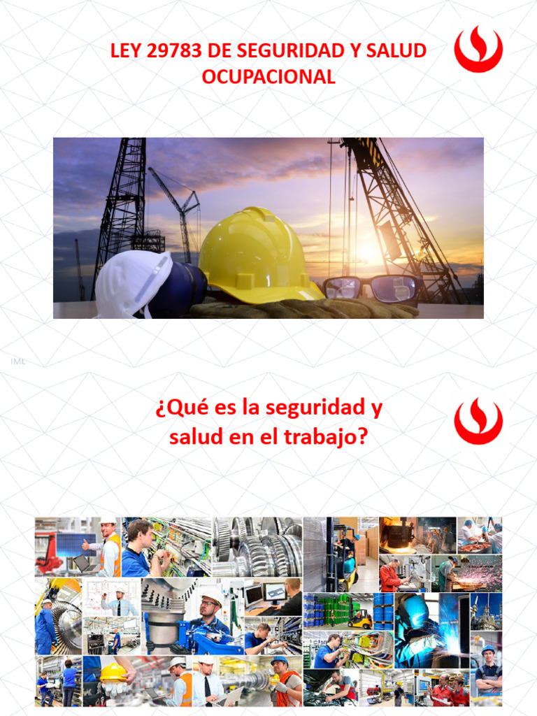 Ley 29783 - Marco Legal | PDF | Riesgo | Seguridad y salud ocupacional