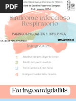 GPC Faringoamigdalitis Aguda IMSS-73-08 | PDF | Medicina | Enfermedades ...
