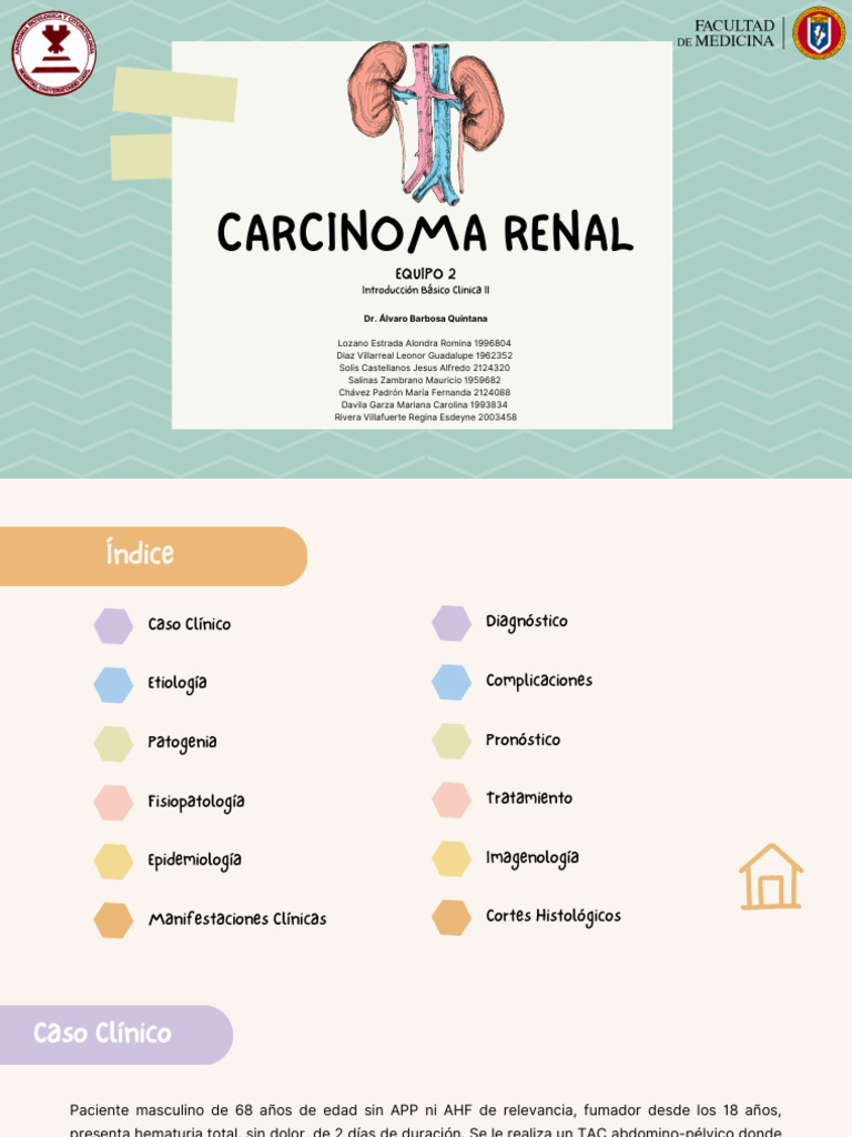 Carcinoma Renal E2 | PDF | Cáncer | Sangre