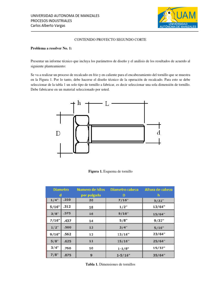 Proyecto Segundo Corte - 2024-01 | PDF | Tornillo | Extrusión