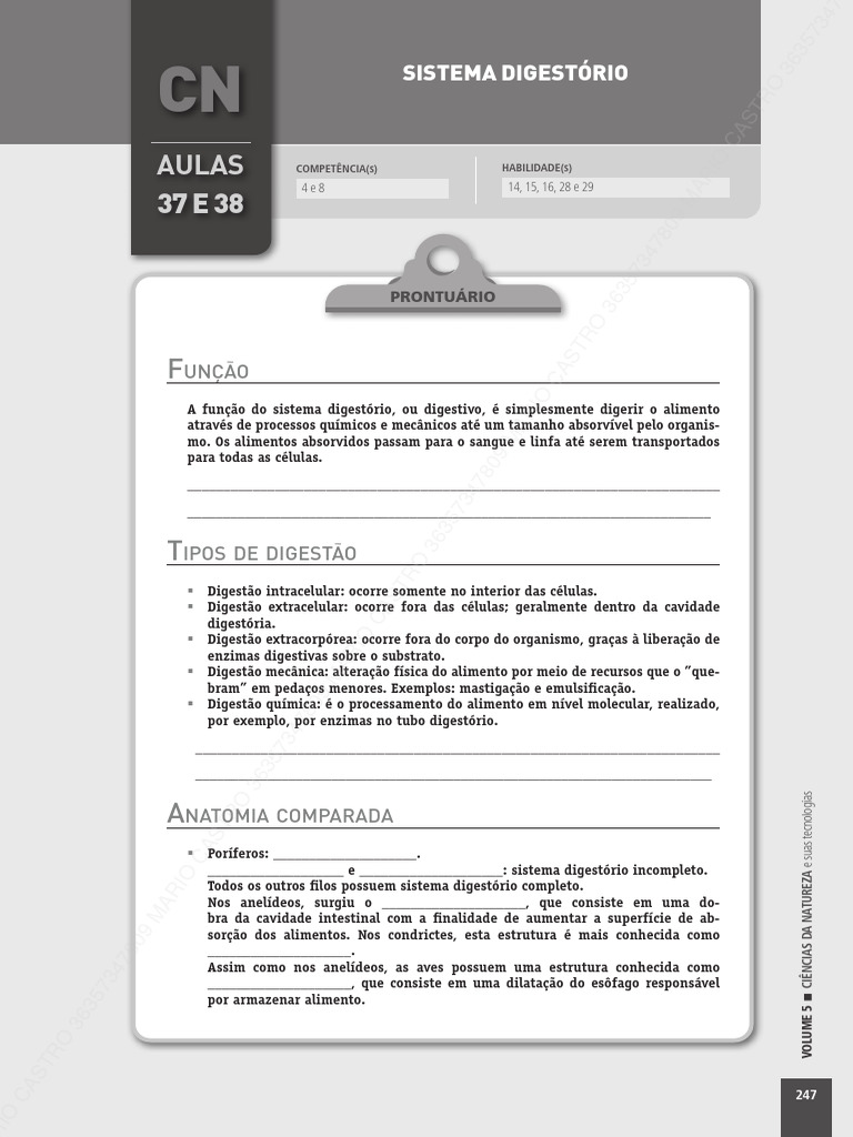 Bio2 Vol5 Aulas 37e38 CAD AULA | PDF | Digestão | Ruminante