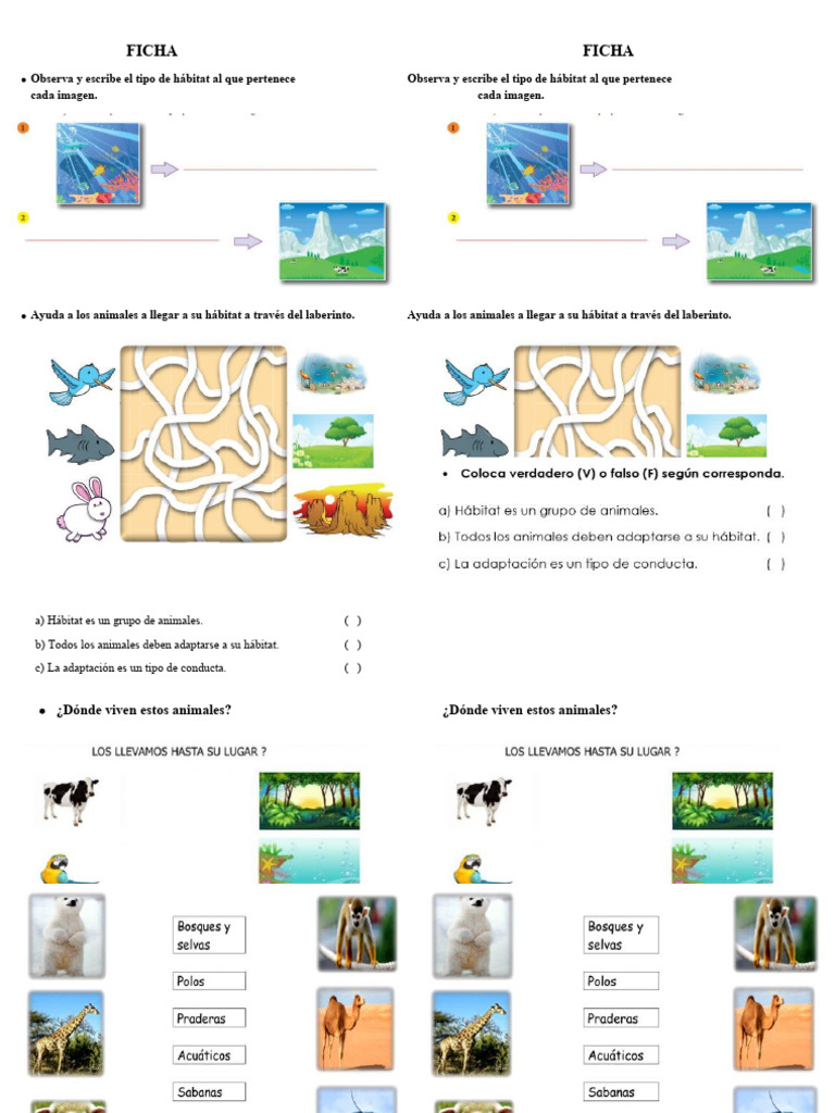 Habitat de Los Animales | PDF | Artes del Lenguaje y Comunicación