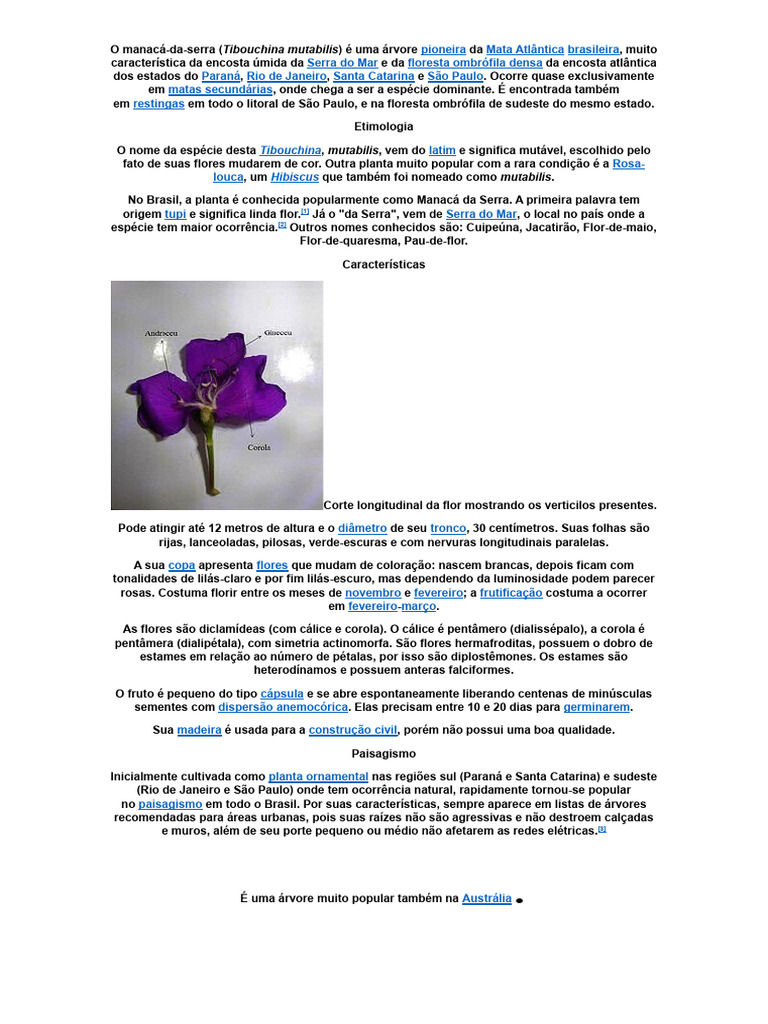 Manacá Da Serra | PDF | Plantas | Botânica