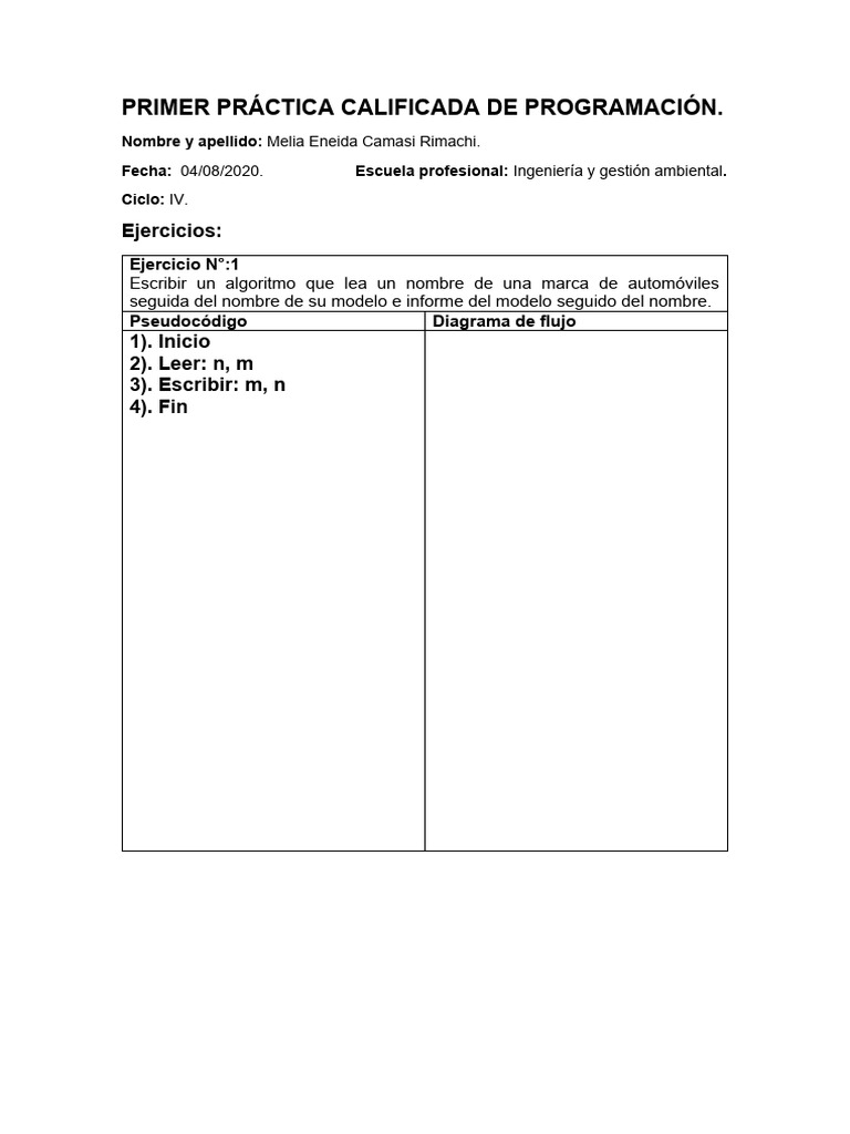 Primer Práctica Calificada de Programación | PDF | Triángulo | Algoritmos