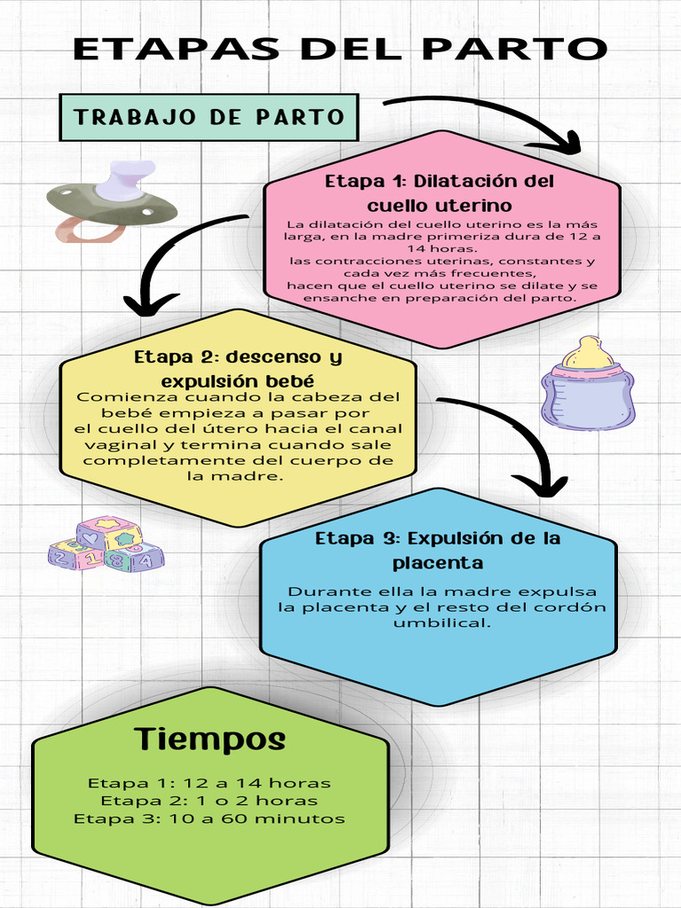 Etapas del Parto: Duración y Proceso | PDF