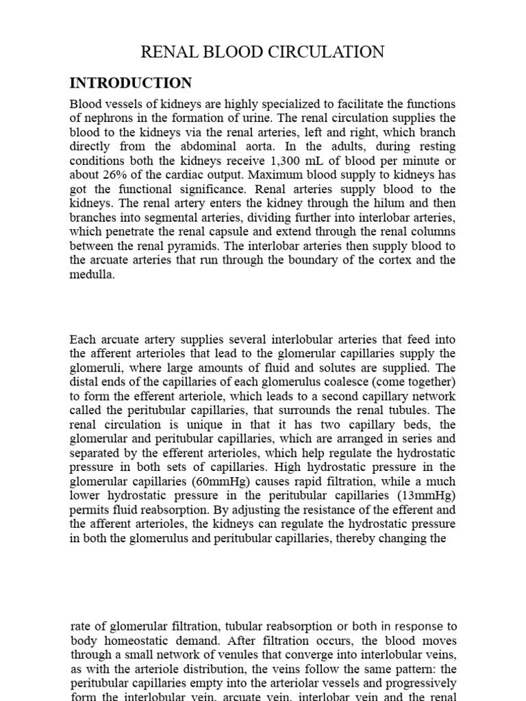 (V.e) Lecture 2 - Renal Circulation | PDF | Kidney | Angiotensin