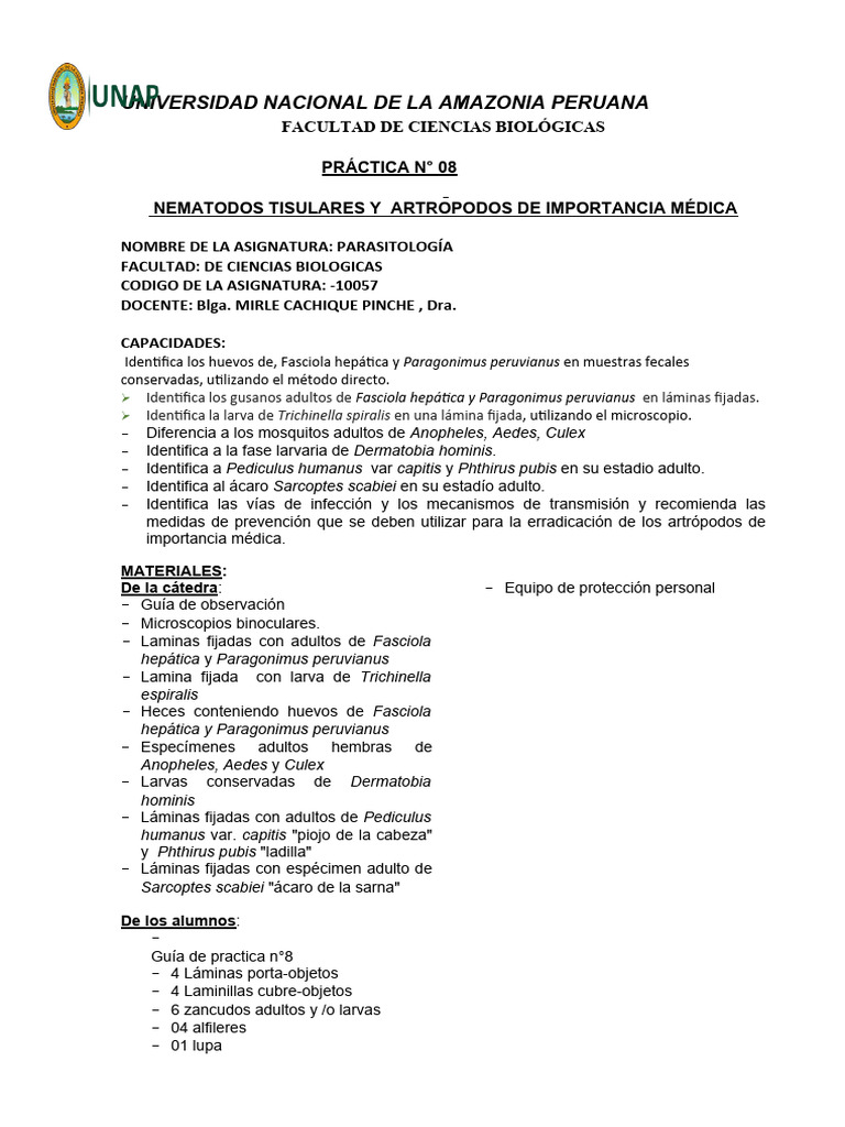 Práctica 08 | Descargar gratis PDF | Mosquito