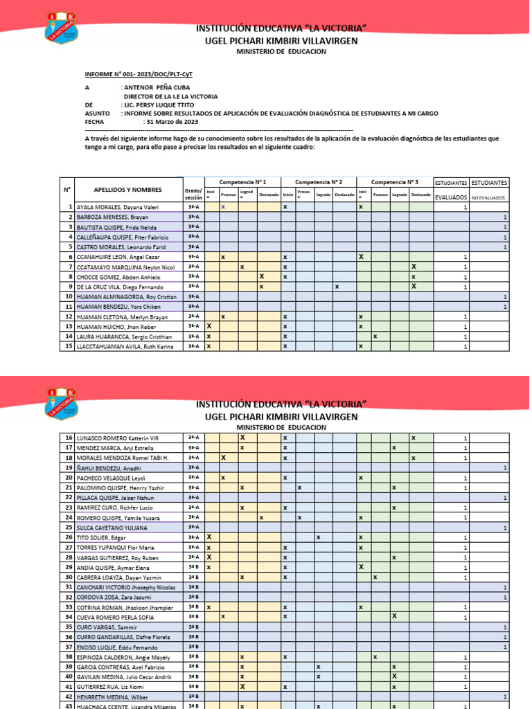 INFORME DIAGNOSTICA (Persy Luque | PDF | Science | Cognición