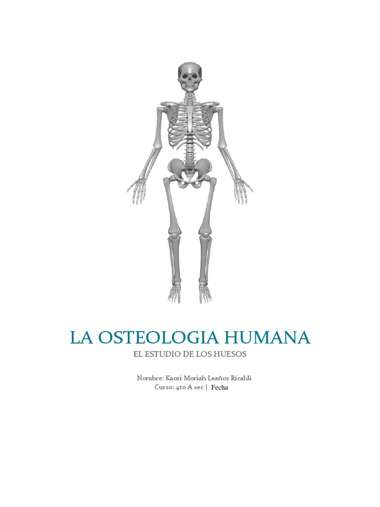 Introducción a la Osteología Humana | PDF | Mano | Esqueleto