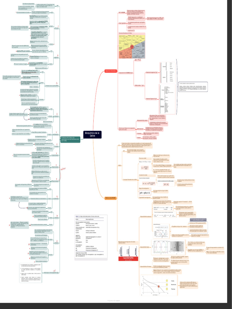 Bioqca de La Saliva MC - 231120 - 194210 | PDF | Solución tampón | Constante de disociación ácida