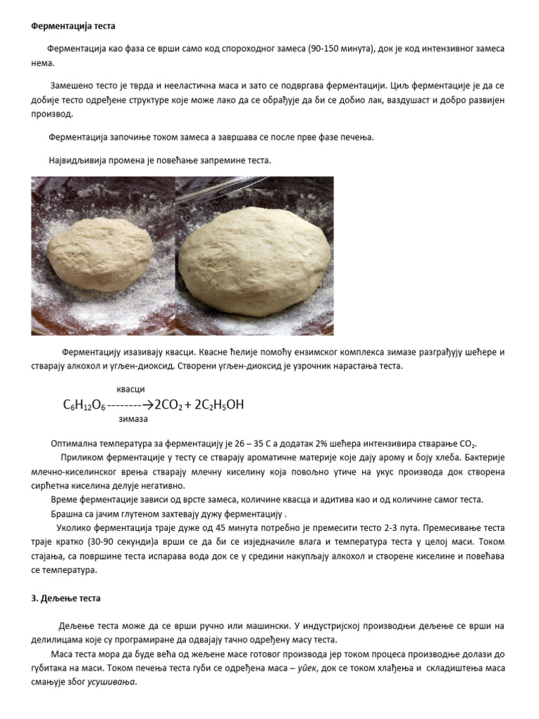 Pekarstvo Fermentacija I Deljenje | PDF