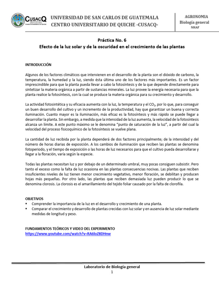 Practica 6. Efecto de La Luz Solar en Las Plantas | PDF | Fotosíntesis ...