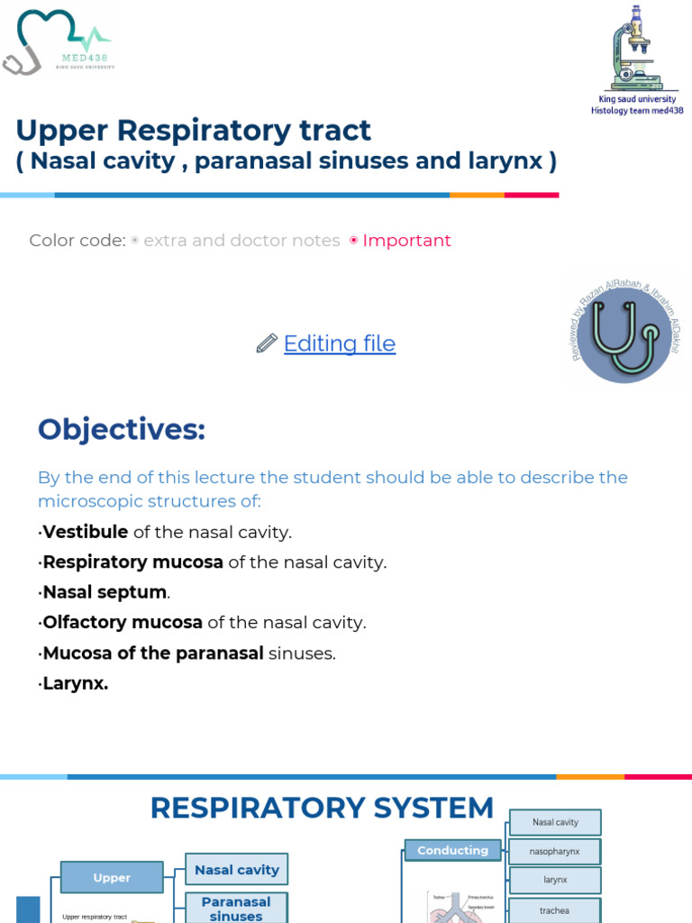 1- Upper Respiratory tract | PDF | Respiratory Tract | Epithelium