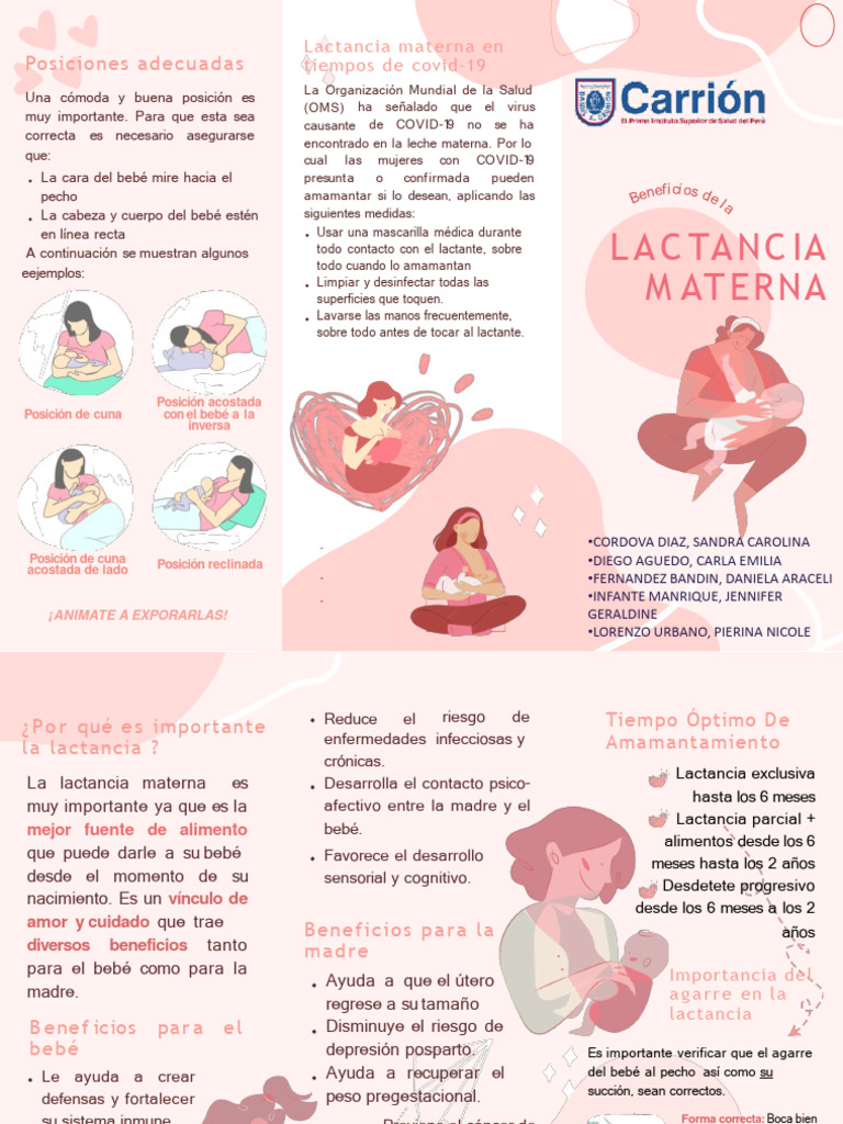 triptico de lactancia materna | PDF | Amamantamiento | Pecho