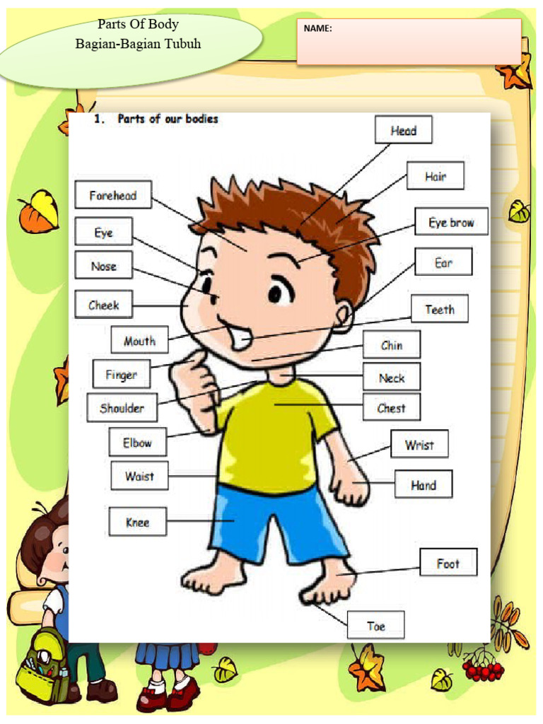 PARTS OF BODY-1 | PDF