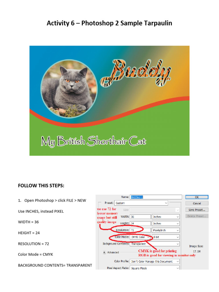Activity 7 - Photoshop 2 Sample Tarpaulin | PDF | Adobe Photoshop | Vision
