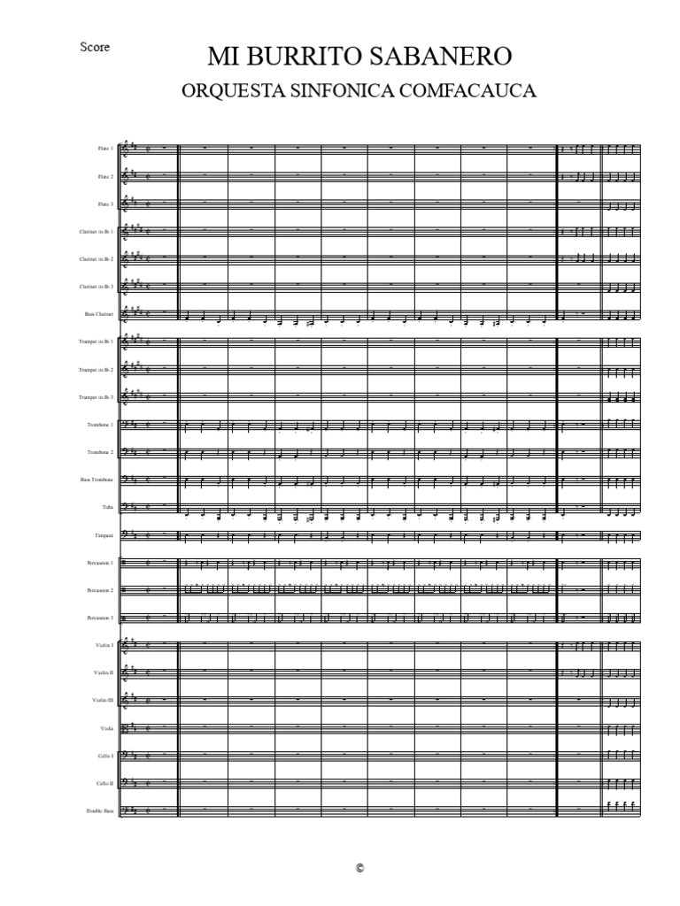 MI BURRITO SABANERO Score | PDF