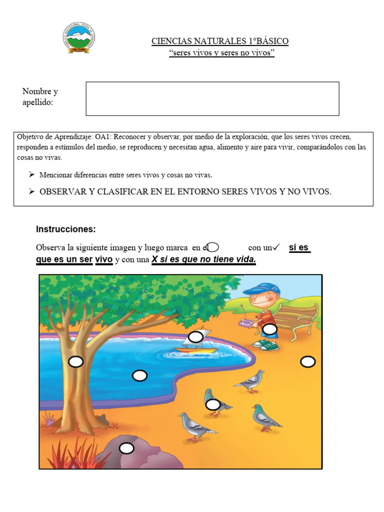 1°-Básico-Ciencias-Naturales-Seres-vivos-y-no-vivos | PDF