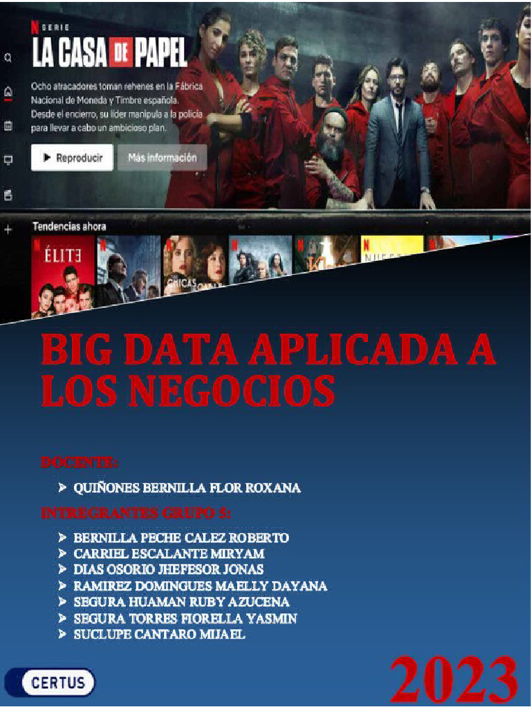AA1 de Bid Data | PDF | Big Data | Netflix