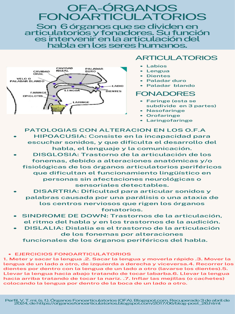Infografía OFA | PDF | Habla | Voz humana