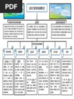 T3. Mapa Conceptual Sobre Ciclos Biogeoquimicos | PDF