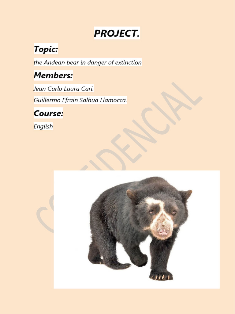Project Ingles | PDF | Bears | Habitat