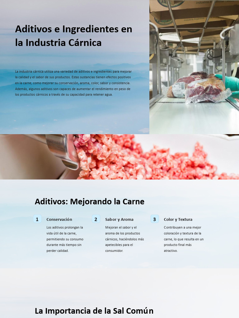 Aditivos Carnicos 2024 | PDF | Carne | sal