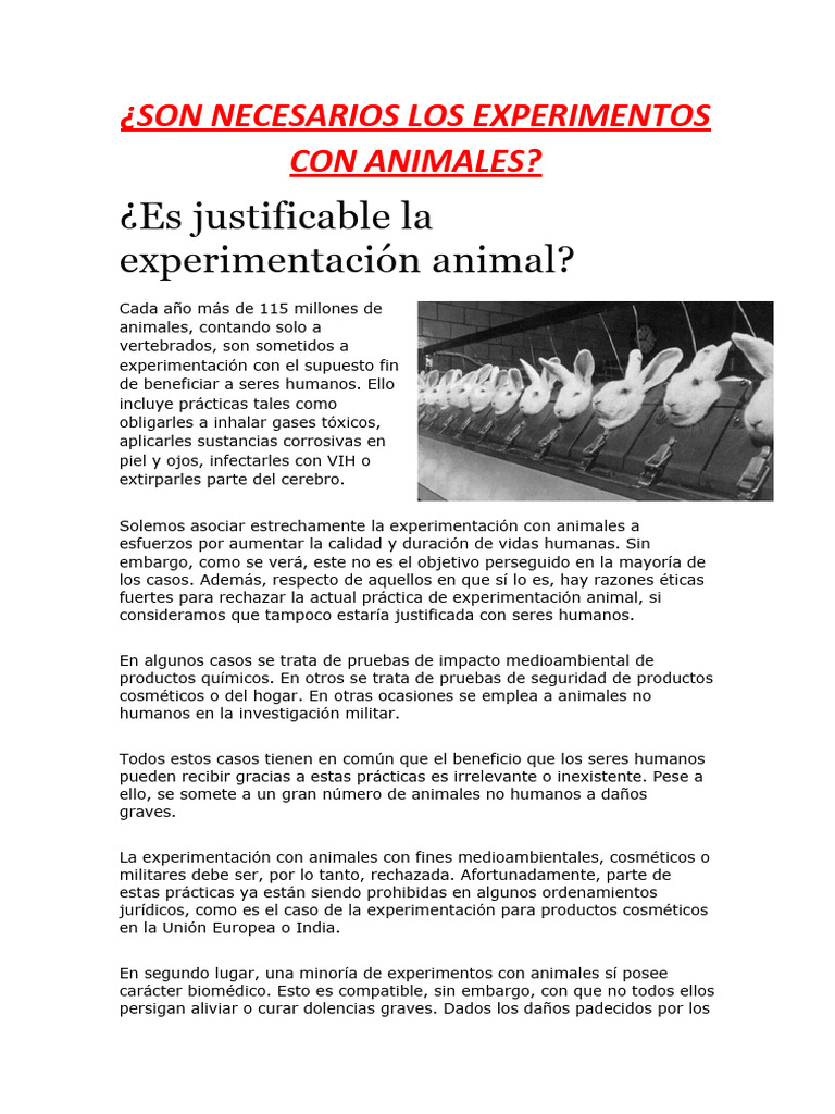 Son Necesarios Los Experimentos Con Animales | PDF | Pruebas en ...