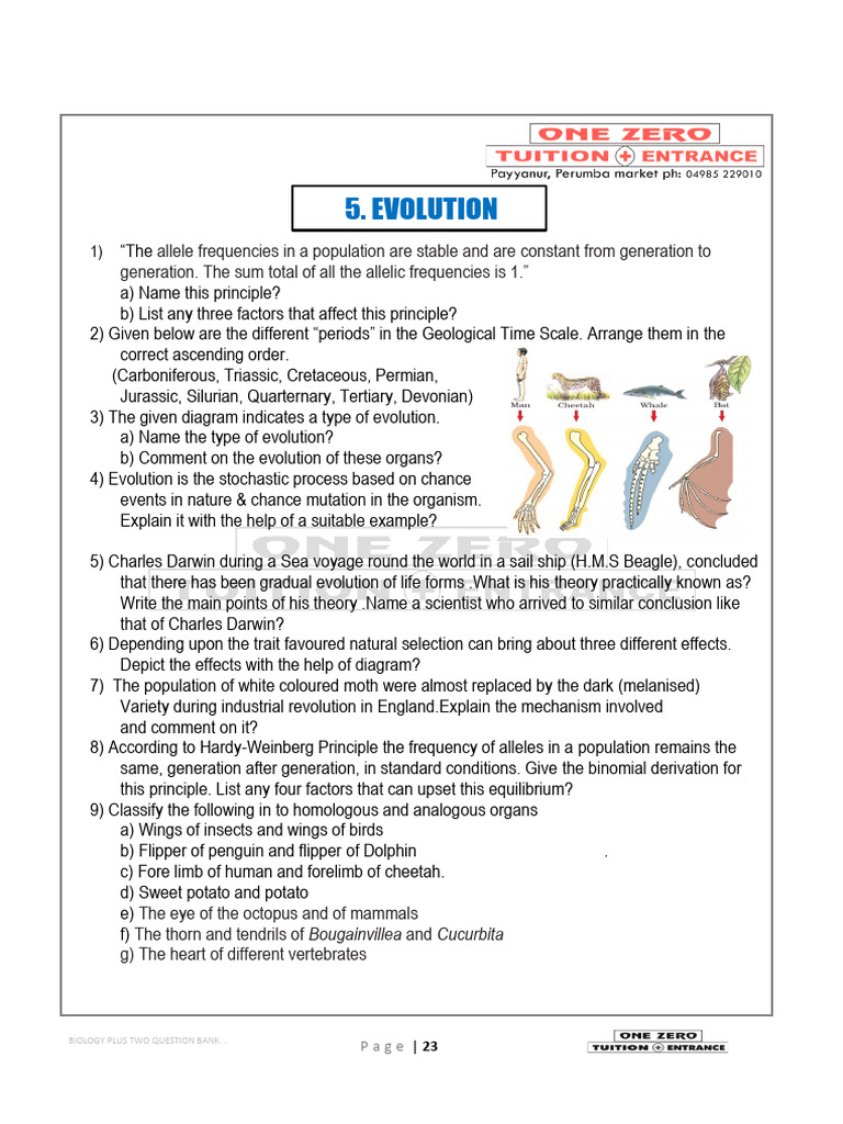 Evolution | PDF | Evolution | Natural Selection