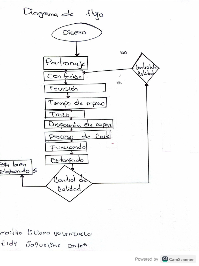 Mapa Mental y Diagrama de Flujo | PDF