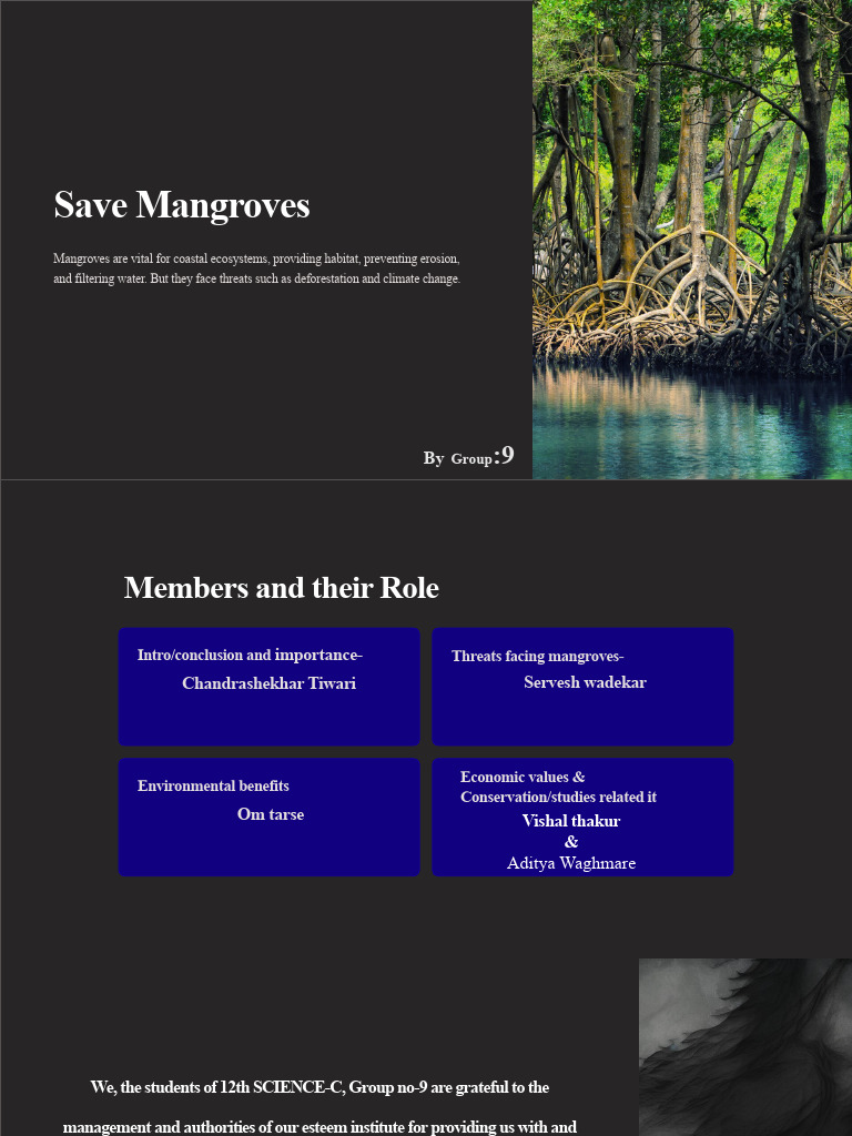 Save Mangroves | PDF | Mangrove | Carbon Sequestration