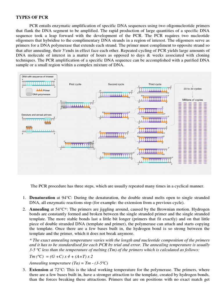 TYPES OF PCR - Dr. De-1 PDF | PDF | Polymerase Chain Reaction | Real Time Polymerase Chain Reaction