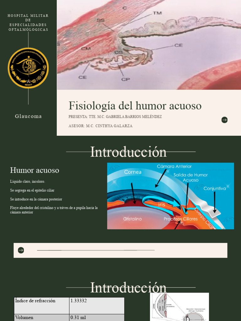 Fisiologia Del Humor Acuoso | PDF | Glaucoma | Ojo humano