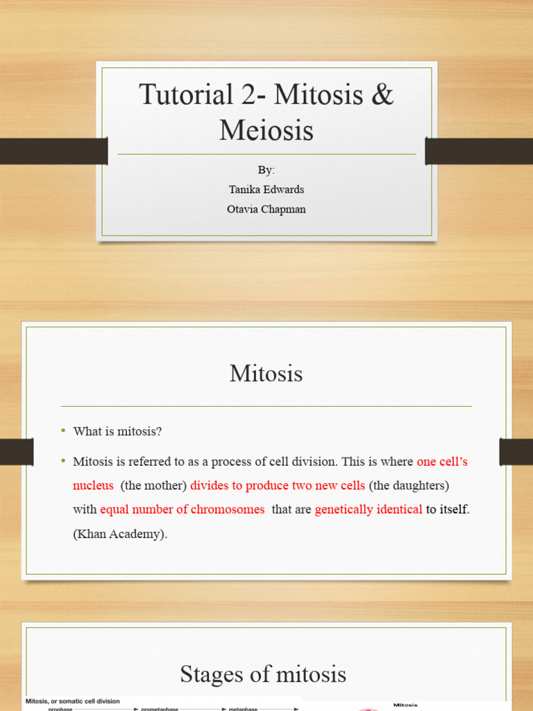 Tutorial 2 - Mitosis & Meiosis | PDF | Meiosis | Mitosis