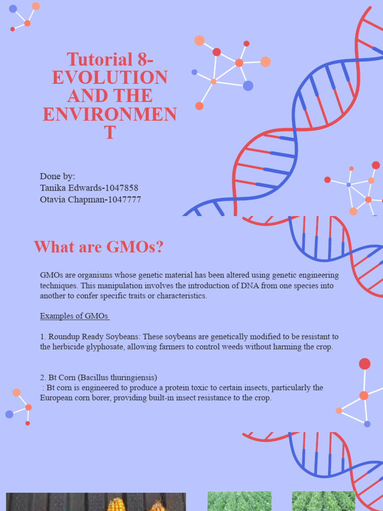 Tutorial-8 - Incomplete | PDF | Genetically Modified Organism | Genetic Engineering
