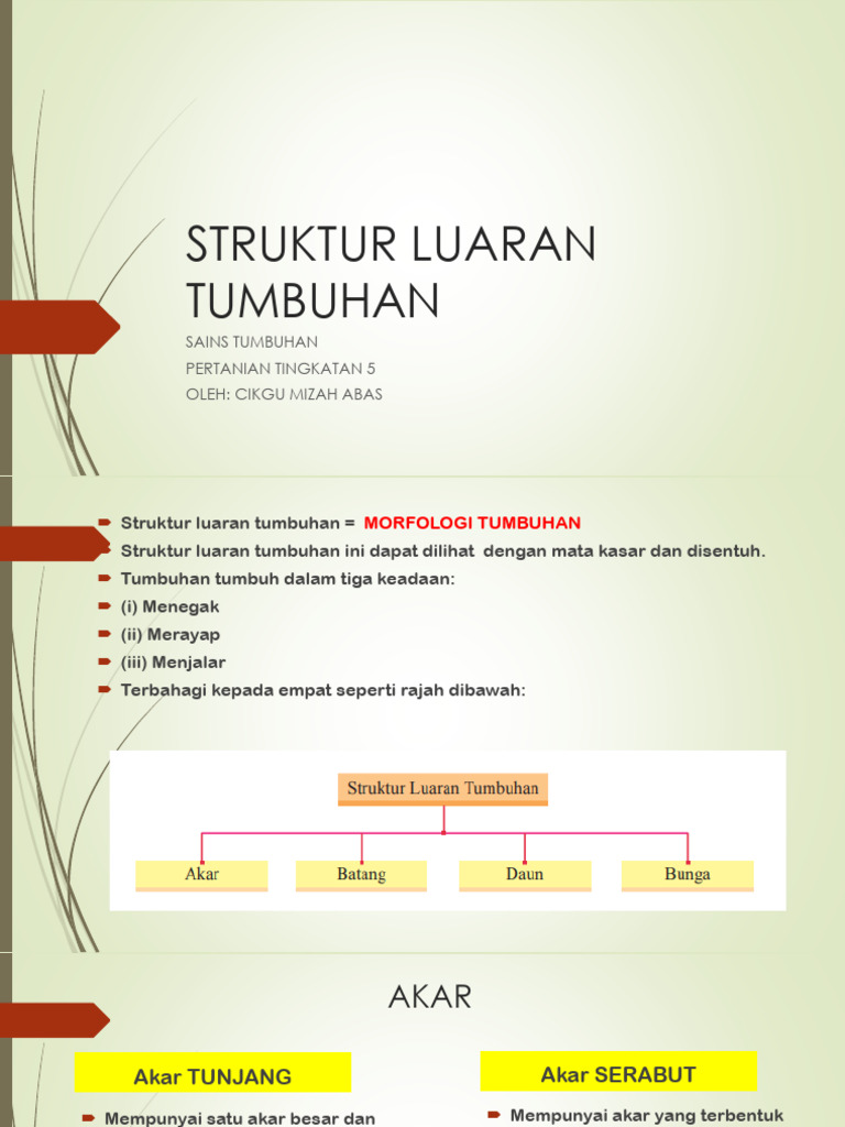 STRUKTUR LUARAN TUMBUHAN.pdf | PDF